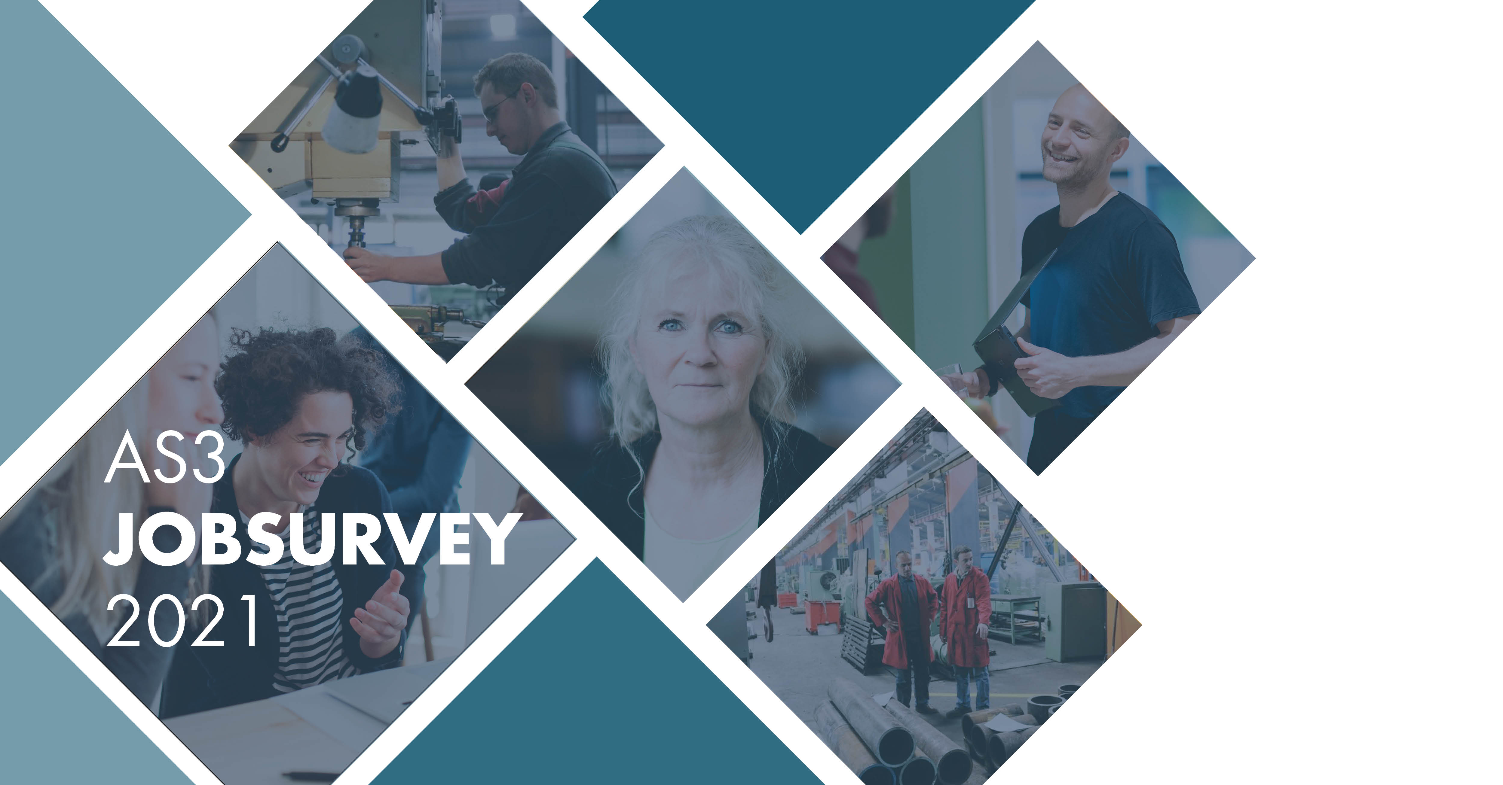 AS3 Jobsurvey 2021 | AS3 Transition